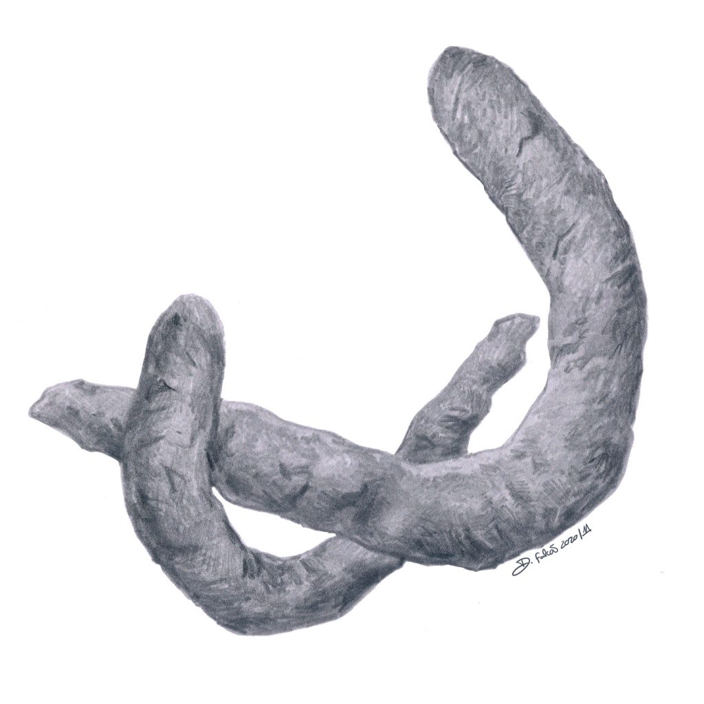 Fuinha – Vale do Louredo