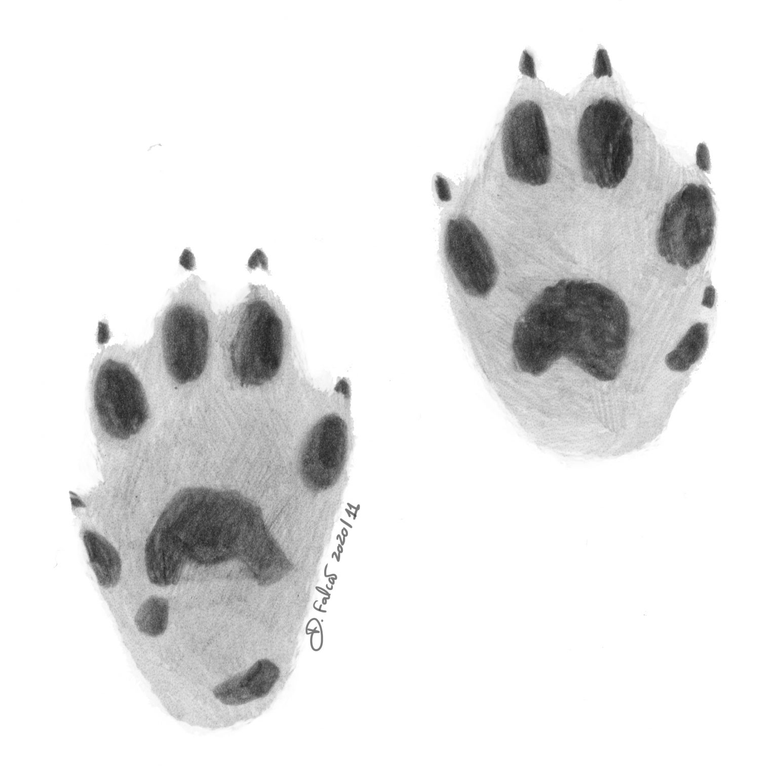 Fuinha – Vale do Louredo